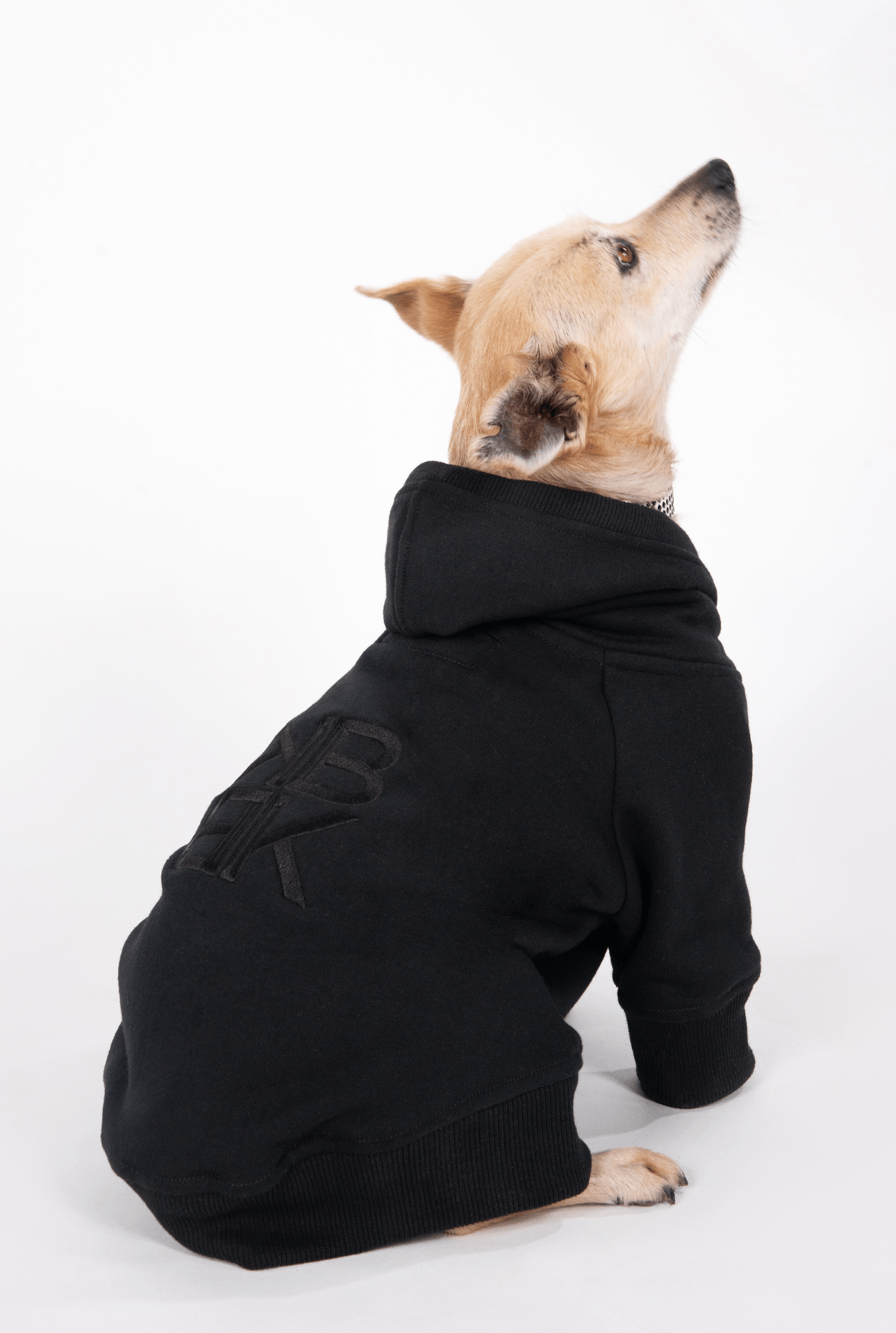 Buzo Doggy - Key Dogs Style - Key Biscayne